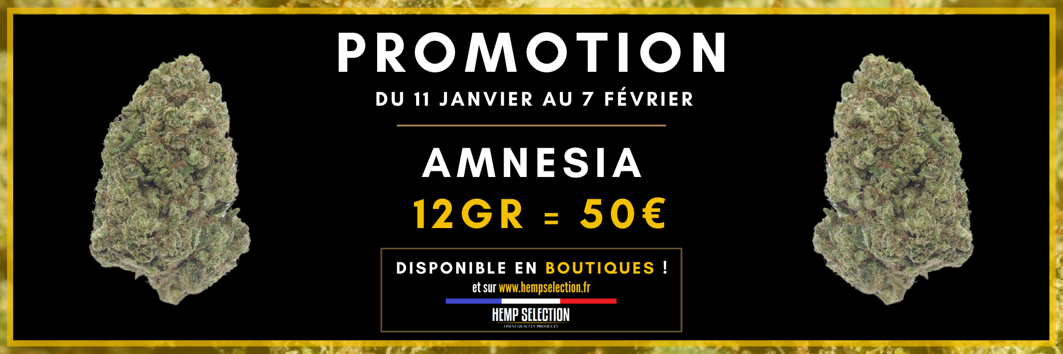 Hemp Selection - CBD Tours - Naturel & BIO, Made in France